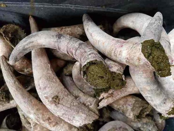 Organic Manure: How to Make and Apply Different Types of Manure