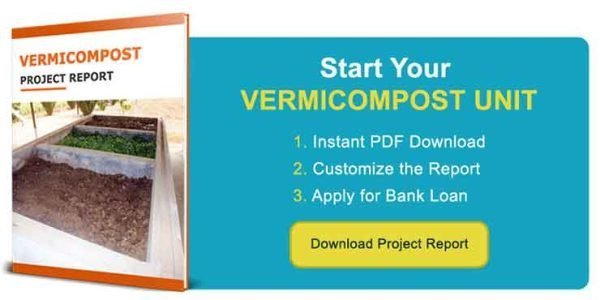 Vermicomposting Project: What is Vermicompost and How to Prepare It