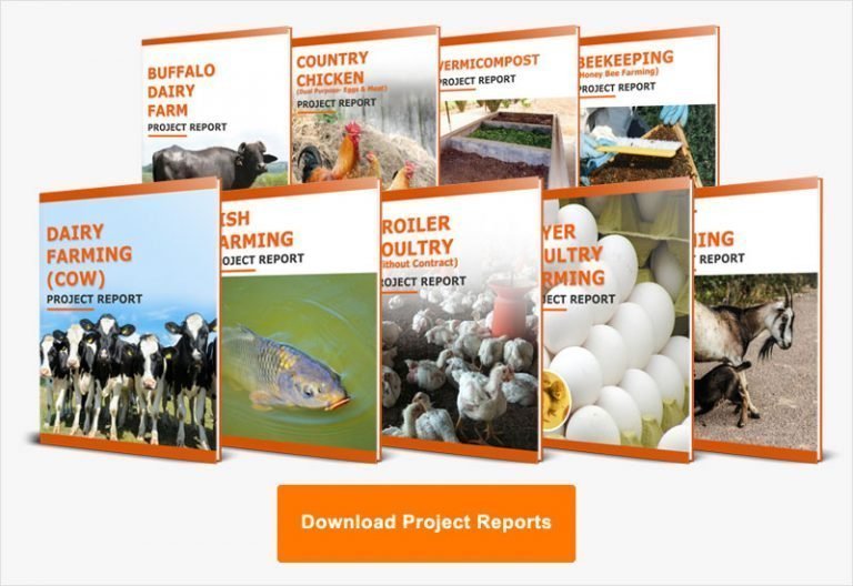 Goat Farming in India: Beginner's Guide to Start a Goat Farm